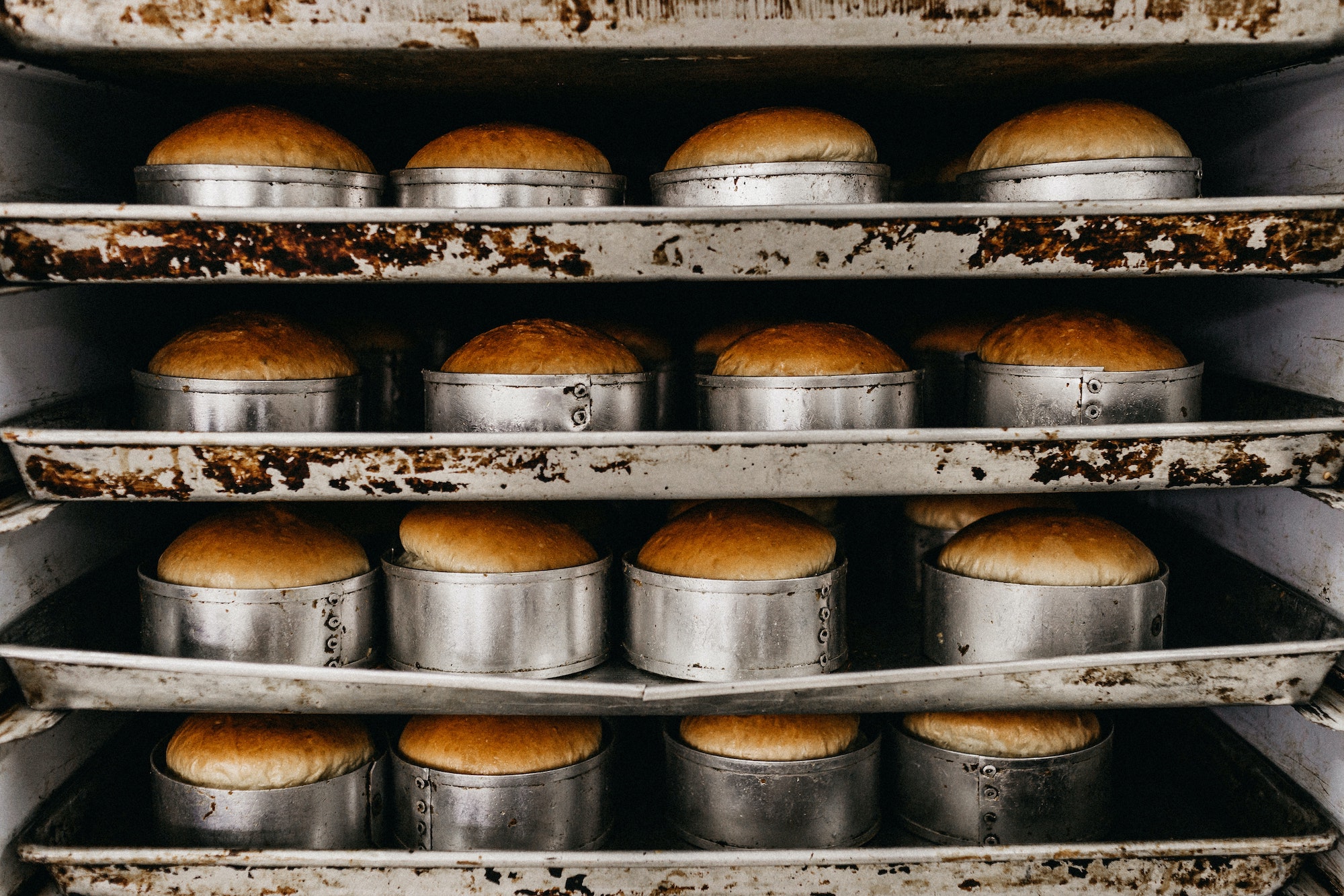 What Does Putting Water in the Oven When Baking a Cake Do? - The Great Bake