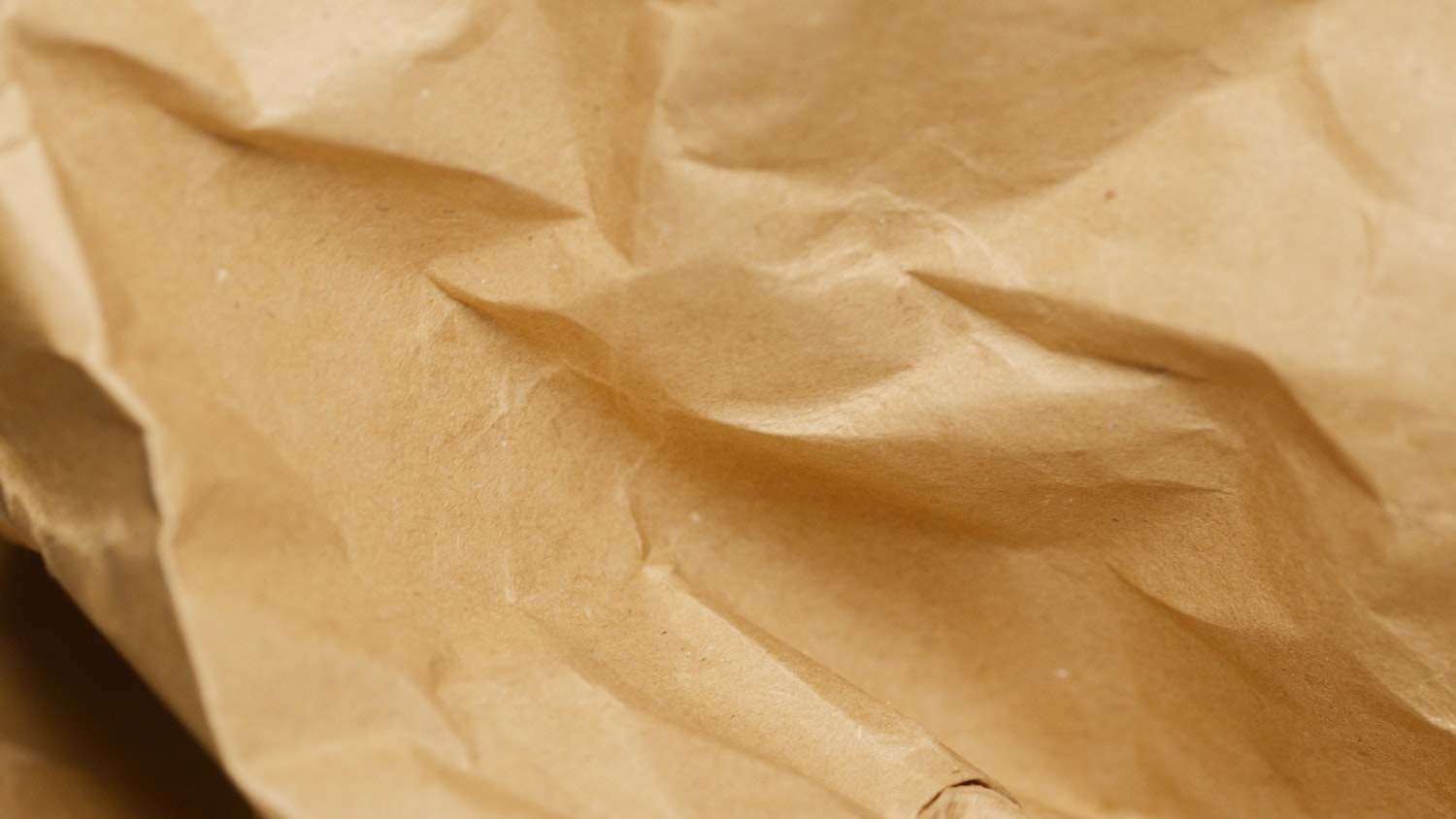 Can Wax Paper Go In The Oven? - The Great Bake